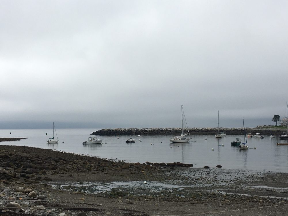 RYE HARBOR STATE PARK - Updated July 2025 - 15 Photos - 1730 Ocean Blvd ...