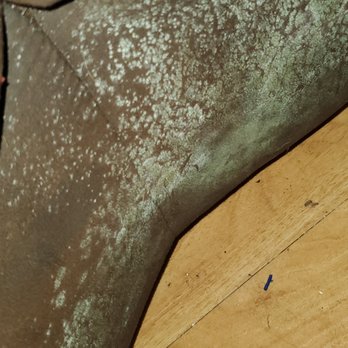 WAVECREST MANAGEMENT - Updated June 2024 - 22 Photos & 77 Reviews - 87 ...