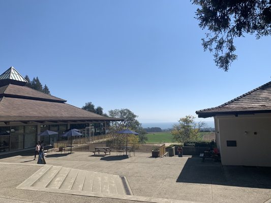 UNIVERSITY OF CALIFORNIA - SANTA CRUZ - Updated June 2025 - 268 Photos ...