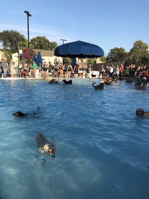 GRANDVIEW MUNICIPAL POOL - Updated December 2025 - 18 Reviews - 1515 ...