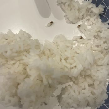 DIM SUM II CHINESE RESTAURANT - Updated December 2025 - 53 Photos & 116 ...