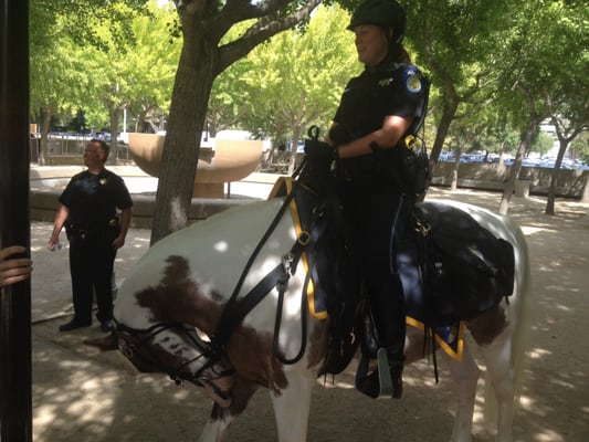 CALIFORNIA DEPT OF SOCIAL SERVICES-ADOPTION - Updated December 2025 ...