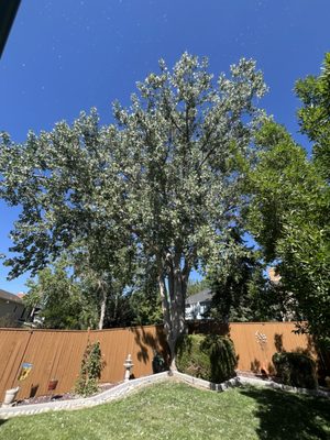 REDWOOD LANDSCAPE - Updated December 2025 - 47 Photos & 11 Reviews ...