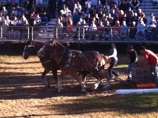 DEERFIELD FAIR - Updated July 2024 - 18 Photos & 23 Reviews - 34 Stage ...