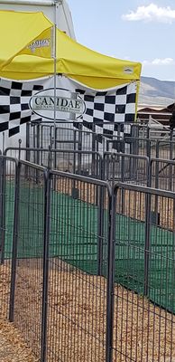 ARIZONA DOWNS - Updated January 2026 - 71 Photos & 14 Reviews - 10501 E ...