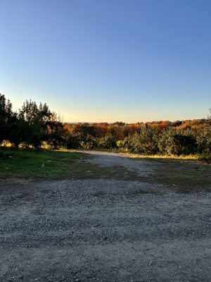 WINDY HILL ORCHARD - Updated November 2025 - 53 Photos & 14 Reviews ...