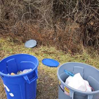 BLUE DIAMOND DISPOSAL - Updated January 2026 - 22 Photos & 22 Reviews ...