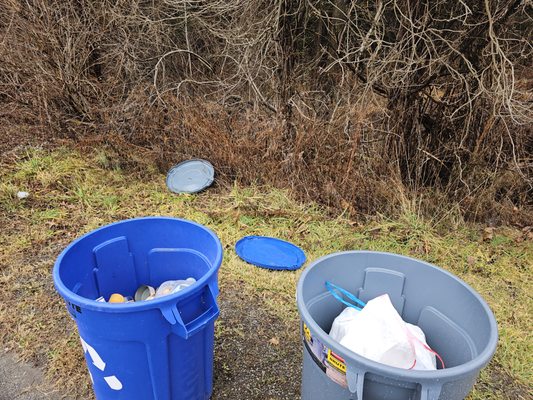 BLUE DIAMOND DISPOSAL - Updated December 2025 - 22 Photos & 22 Reviews ...