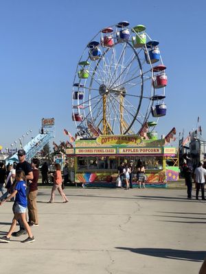 CARUTHERS FAIR ASSOCIATION - Updated January 2026 - 69 Photos & 10 ...