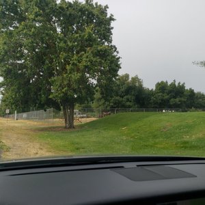 MICKE GROVE PARK - 117 Photos & 50 Reviews - 11793 N Micke Grove Rd ...