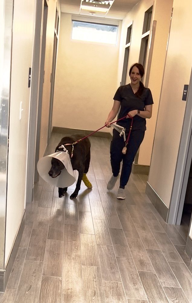 APEX VETS - Updated December 2025 - 14 Photos & 23 Reviews - 11060 ...