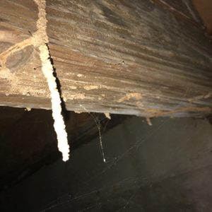 CORKY’S PEST CONTROL - Updated August 2025 - 45 Photos & 570 Reviews ...