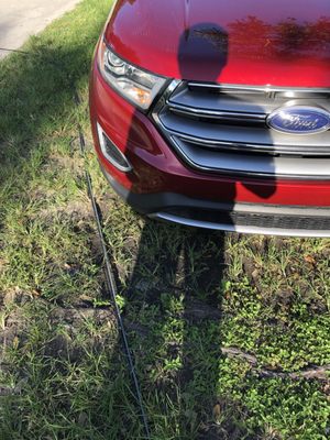 LEWIS TREE SERVICE - Updated December 2025 - 21 Photos & 31 Reviews ...