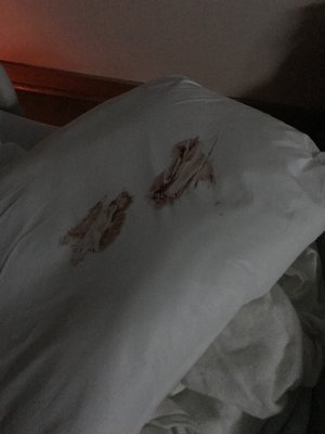 GBMC - GREATER BALTIMORE MEDICAL CENTER - Updated July 2025 - 42 Photos ...