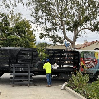 MOON VALLEY NURSERIES - Updated April 2024 - 233 Photos & 512 Reviews - 11745 Sherman Way ...