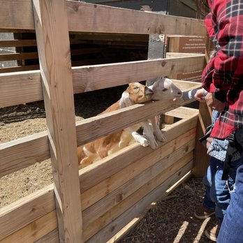 SUNFLOWER FARM - Updated April 2024 - 62 Photos & 36 Reviews - 11150 ...