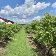 BALIC WINERY - 79 Photos & 34 Reviews - Wineries - 6623 Harding Hwy ...