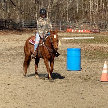 GOLD RUSH FARMS - Updated October 2025 - 33 Photos & 22 Reviews - 5 ...