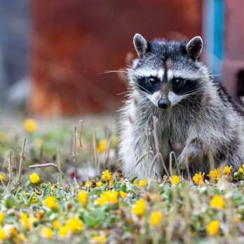 LODGING AT POINT ARENA LIGHTHOUSE - Updated January 2026 - 258 Photos ...