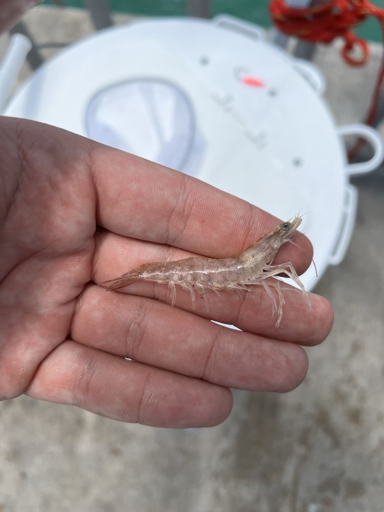 THE YELLOW BAIT HOUSE - Updated December 2025 - 31 Reviews - 101741 ...