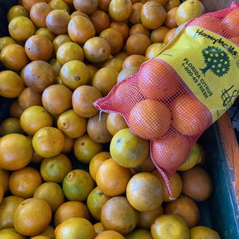 RIDGE ISLAND GROVES - Updated December 2025 - 192 Photos & 33 Reviews ...