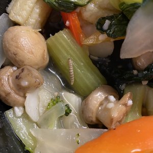 MANDARIN RESTAURANT - Updated December 2024 - 27 Photos & 54 Reviews ...