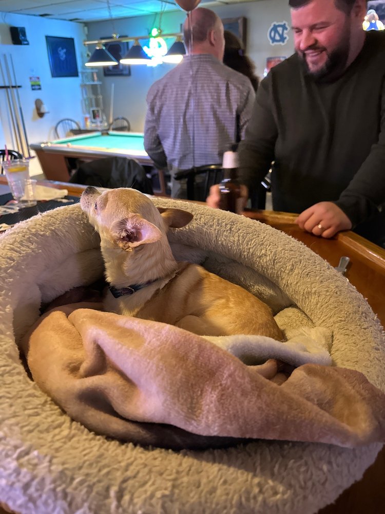 SURF INN - Updated July 2025 - 33 Photos & 11 Reviews - 3549 N Sharon ...