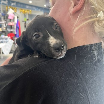 INDYHUMANE - Updated October 2025 - 172 Photos & 82 Reviews - 7929 N ...