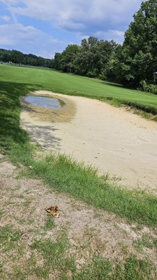 GREENDALE GOLF COURSE - Updated August 2025 - 27 Photos & 50 Reviews ...
