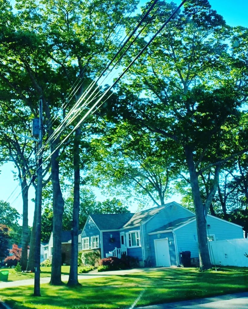 THREE BROTHERS TREE SERVICE - Updated August 2025 - Request a Quote ...