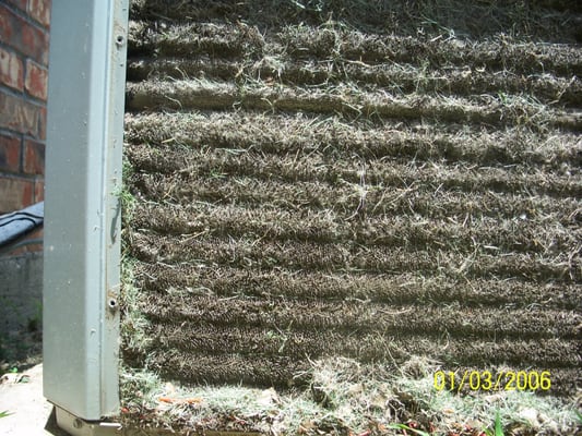 AC WIZARD - Updated September 2025 - 10 Photos & 50 Reviews - 10725 ...