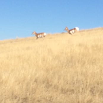 THE RANCH AT UCROSS - Updated September 2025 - 51 Photos - 2673 US Hwy ...