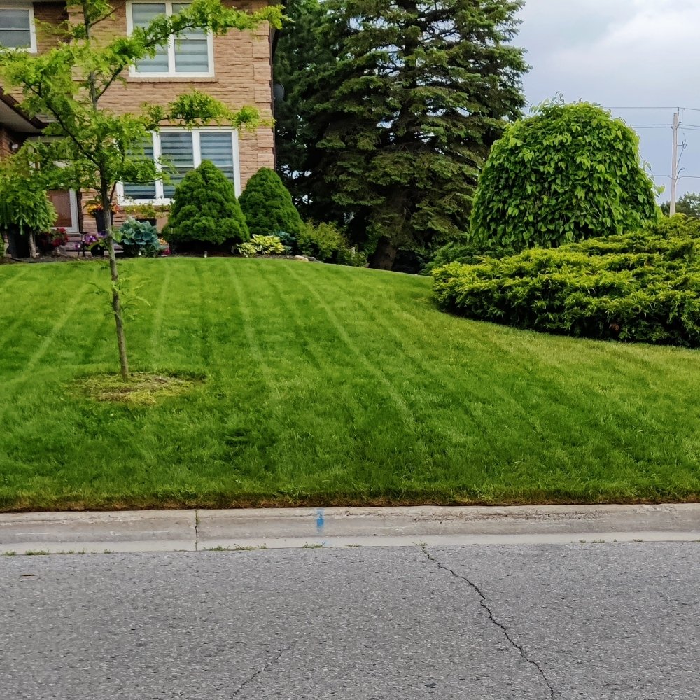 DIAMOND LAWN SERVICE - Updated January 2025 - Request a Quote - 34 ...