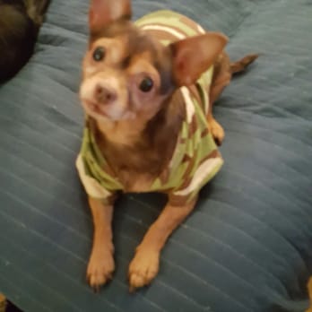 NEW YORK PUBLIC LIBRARY - EPIPHANY LIBRARY - Updated June 2024 - 23 ...