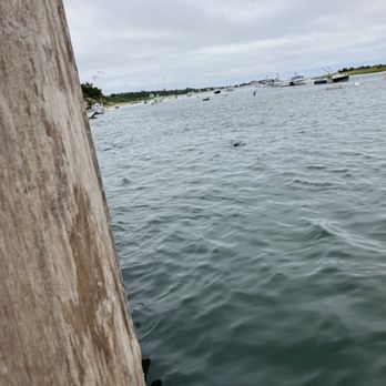 CHATHAM PIER FISH MARKET - Updated May 2024 - 410 Photos & 318 Reviews ...