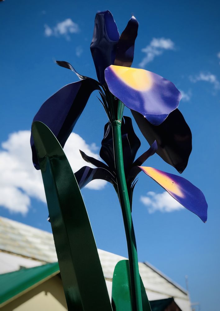 WILD IRIS GALLERY - Updated August 2025 - 111 3rd St, Westcliffe ...