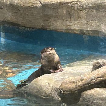 JUNGLE REEF - Updated June 2025 - 24 Photos & 21 Reviews - 750 Sunland ...