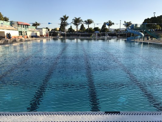 PAUL NELSON AQUATICS - Updated October 2025 - 10 Reviews - 516 S ...