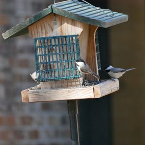 BAREHIDE RANCH - Updated June 2025 - 400 Perkins Rd, Poolville, Texas ...