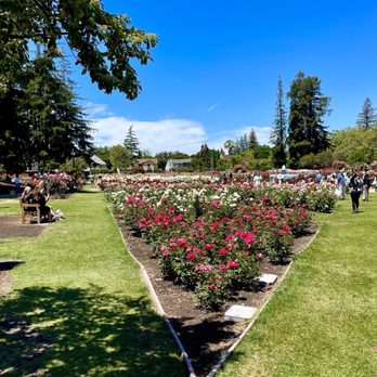 MUNICIPAL ROSE GARDEN - SAN JOSE - Updated June 2024 - 4337 Photos ...