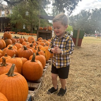 SWEETFIELDS FARM - Updated September 2025 - 359 Photos & 73 Reviews ...