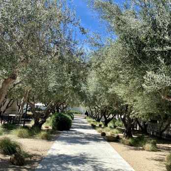 BIDDLE RANCH VINEYARD - Updated October 2025 - 188 Photos & 105 Reviews ...