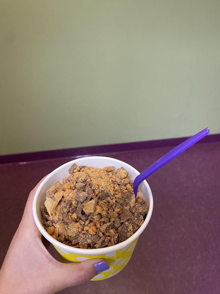 FROYOZ - 34 Photos & 35 Reviews - 2607 US-17 Bus, Garden City, South ...