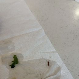 TANG BAR - Updated December 2025 - 1418 Photos & 606 Reviews - 3251 ...