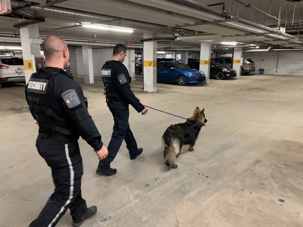 SPECIAL OPERATIONS SECURITY GROUP - Updated December 2025 - Calgary ...