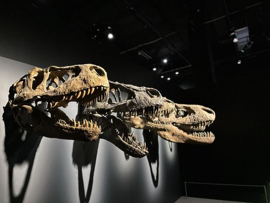 OREGON MUSEUM OF SCIENCE AND INDUSTRY - Updated November 2024 - 1585 ...