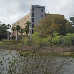HCA FLORIDA BRANDON HOSPITAL - 19 Photos & 144 Reviews - Hospitals ...