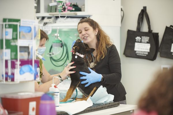 NORTH SPRINGS VETERINARY REFERRAL CENTER - Updated October 2025 - 18 ...