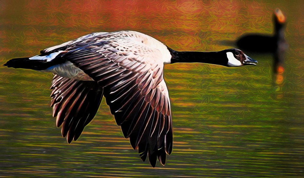 SANDY WOOL LAKE - 94 Photos & 17 Reviews - 3248 Levin Park Access Rd ...