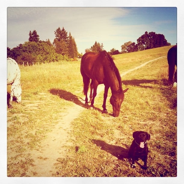 WESTWIND COMMUNITY BARN - Updated October 2025 - 43 Photos & 12 Reviews ...